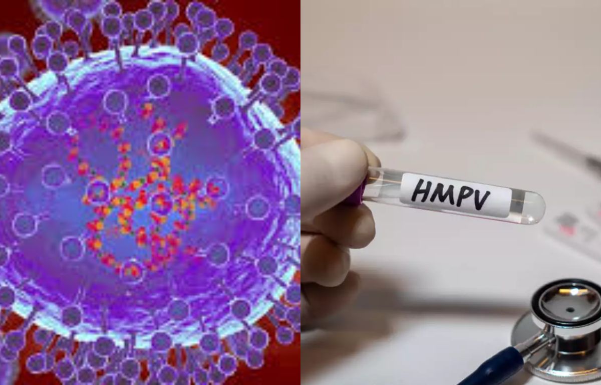 Nuevo virus HMPV: guía completa de síntomas y contagio - LA HORA TIME