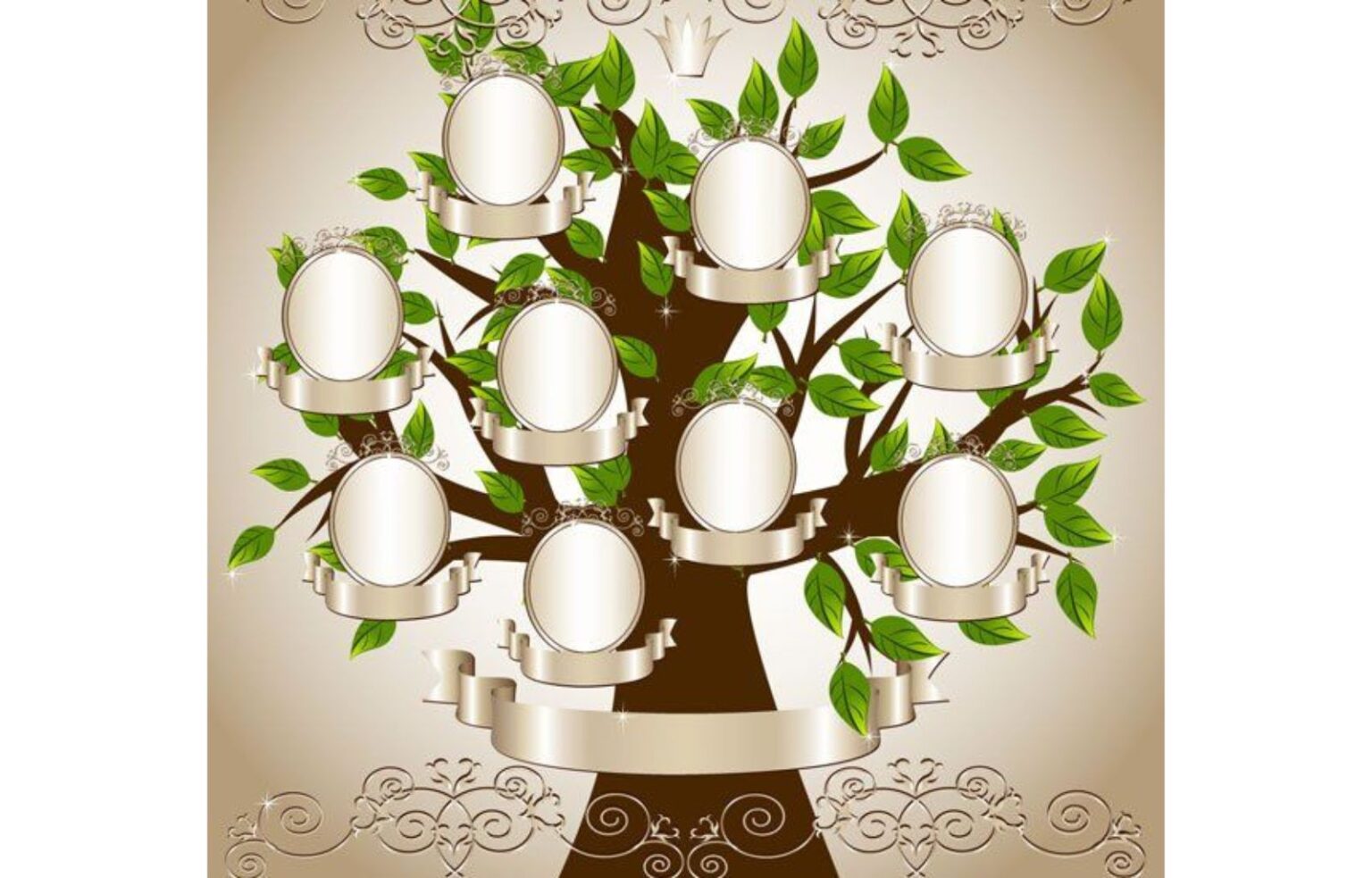 ¿Cómo hacer un árbol genealógico?: Guía paso a paso - LA HORA TIME