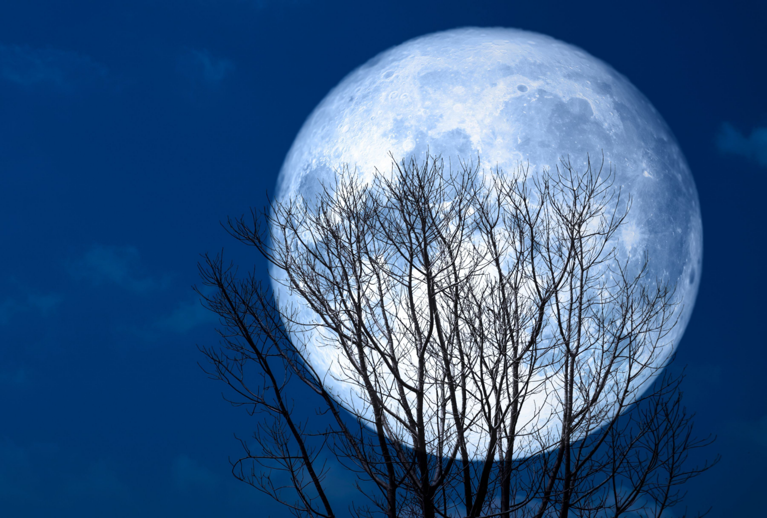 SÚPER LUNA DE DICIEMBRE: LA “LUNA FRÍA” ENCENDIÓ EL CIELO DE GUATEMALA ...